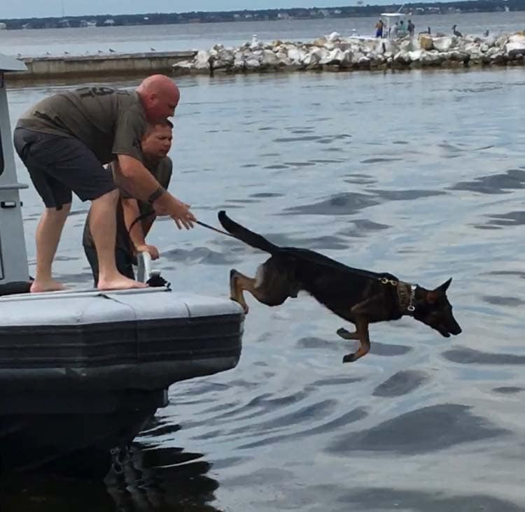 K-9 Unit | Okaloosa County Sheriff's Office