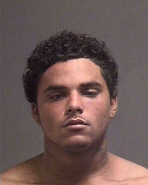 OCSO K9 Captures Reckless Impaired Driver Who Ditched His Car After ...
